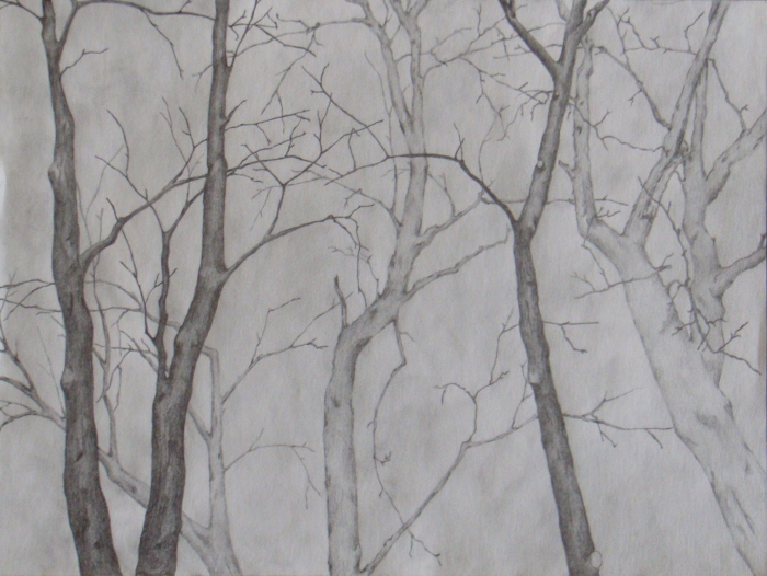 Drawings by Jacob Corbin at Coroflot.com