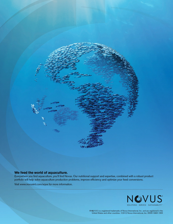 Novus Work by Shaun Crockett at Coroflot.com