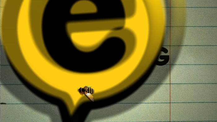 Arizona Spelling Bee Animation by Tia Perkin at Coroflot.com