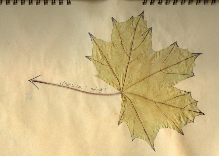 My Leaf Sketch Book by Naomi Kasahara at Coroflot.com