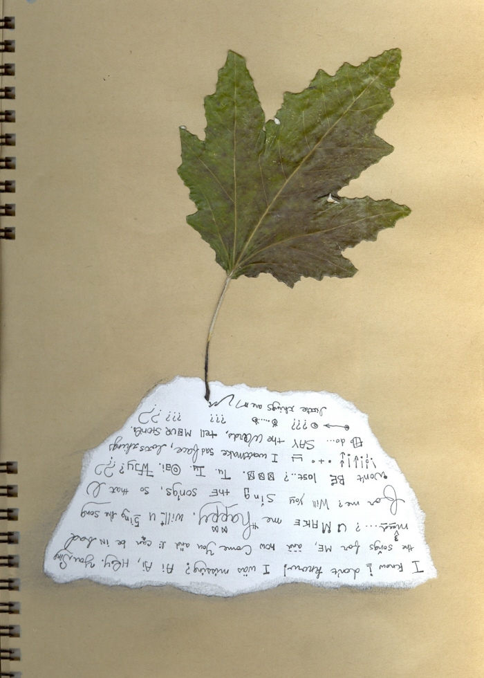 My Leaf Sketch Book by Naomi Kasahara at Coroflot.com