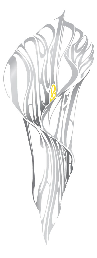 Illustrations by Steve Calamia at Coroflot.com