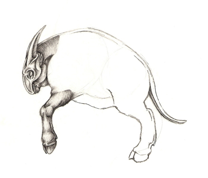 Creature and Character Design by Sam Ostrowski at Coroflot.com