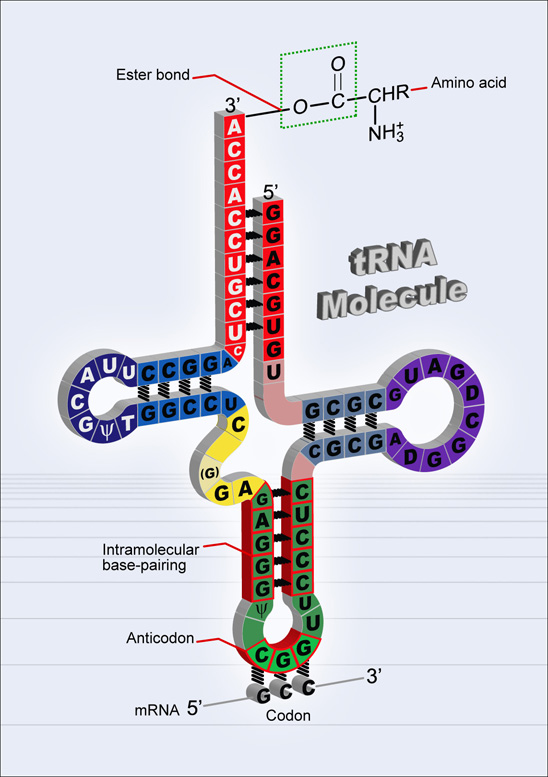 Illustration-Scientific by Michael Fleck at Coroflot.com