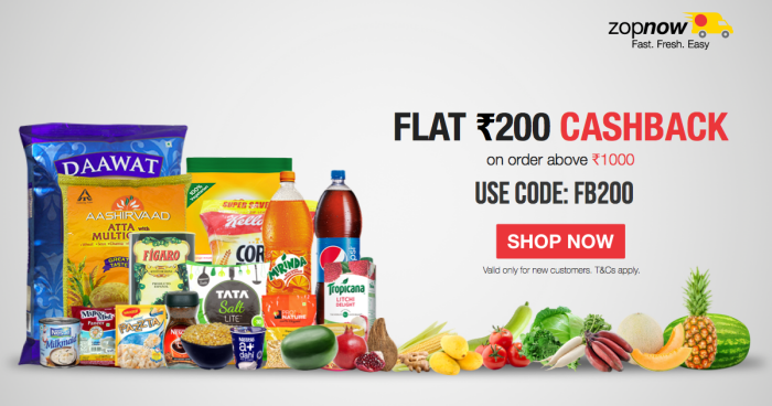 Zopnow Designs by Lydia Balasingh at Coroflot.com