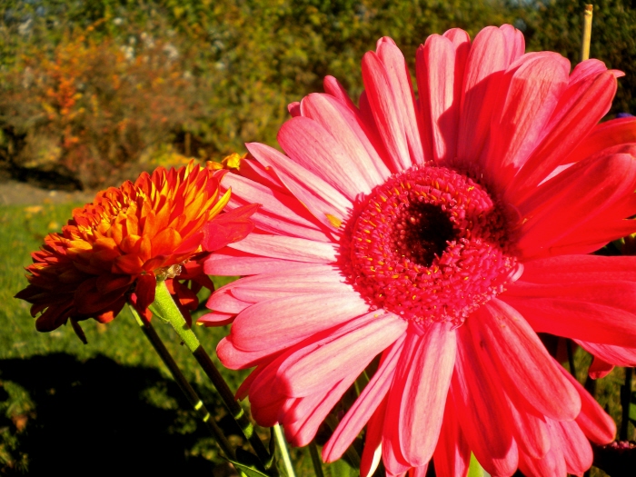 An upload by nora ba on Coroflot: to the project Fine Arts Fest