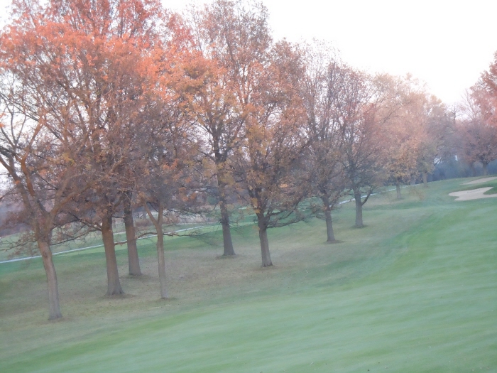 An upload by Kole Lu on Coroflot: to the project Homage Shoot