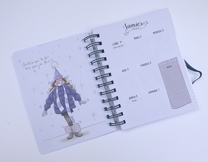 Larousse Diary 2018 : Une Jeune Fille a la page by Diane Dufour at ...