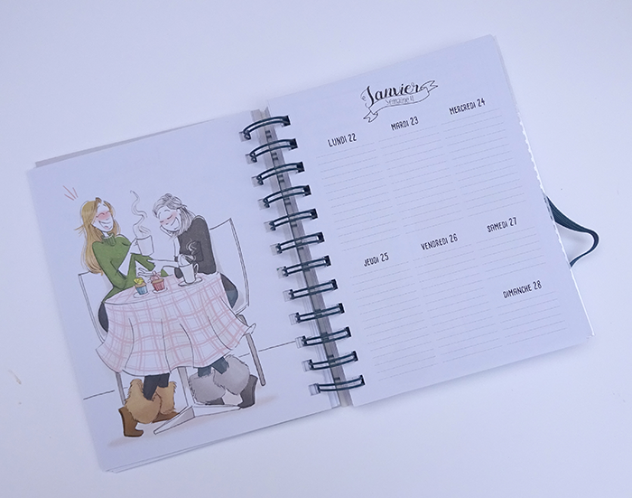 Larousse Diary 2018 : Une Jeune Fille a la page by Diane Dufour at ...