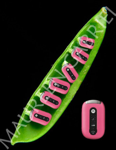 Designs by maureen gabriel at Coroflot.com