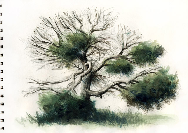 sketches by Jaume illustration at Coroflot.com