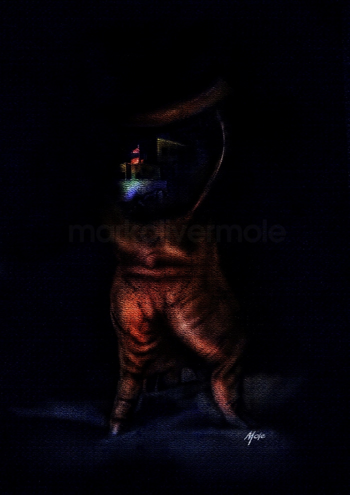 Digital Painting by Mark Oliver Mole at Coroflot.com