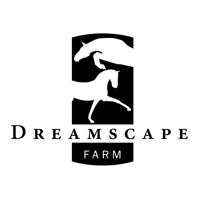 Portfolio 2012 by Linda Horn at Coroflot.com