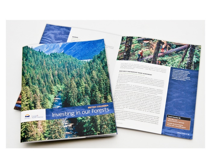 Forestry Innovation Investment Investing in our Forests Book by Chris ...