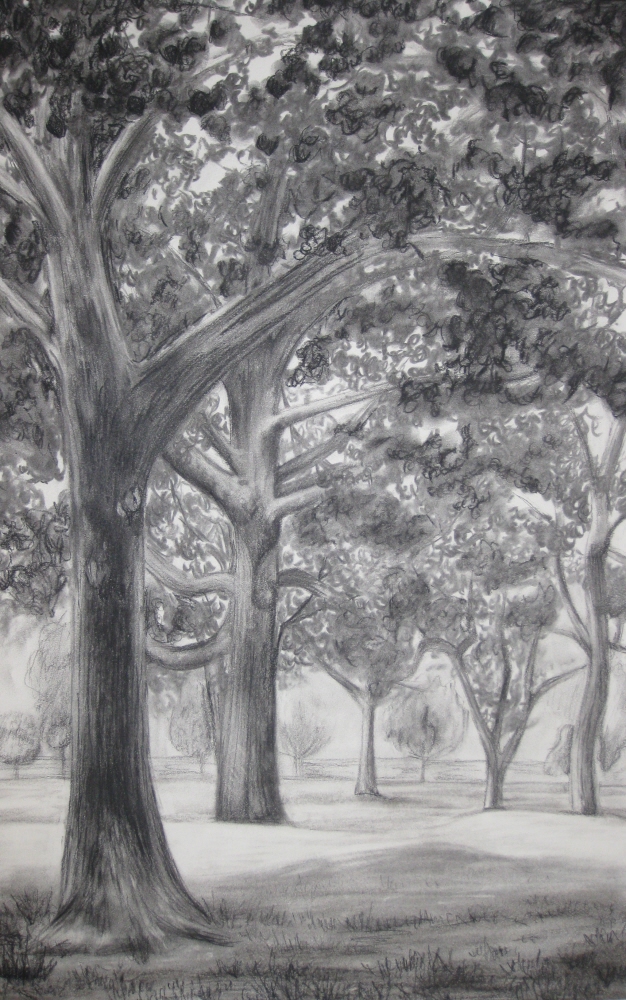 Drawing by Sasha Yan at Coroflot.com