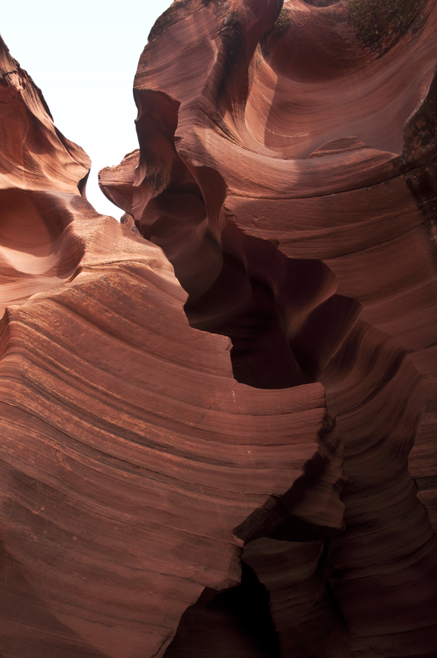 An upload by Jonathan Metz on Coroflot: to the project Photography