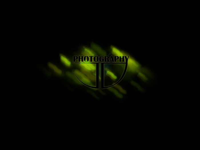 Logo Design - JD Photography by Mariya Brachkova at Coroflot.com
