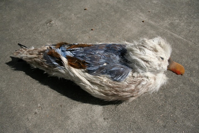 Sculpture & Props by Elise Kane at Coroflot.com