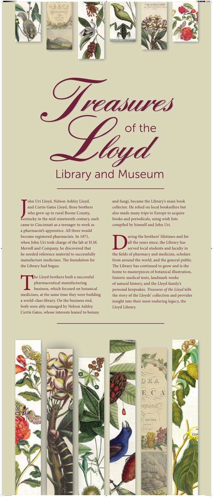 Lloyd Library projects by Lynette Schmitt Design at Coroflot.com