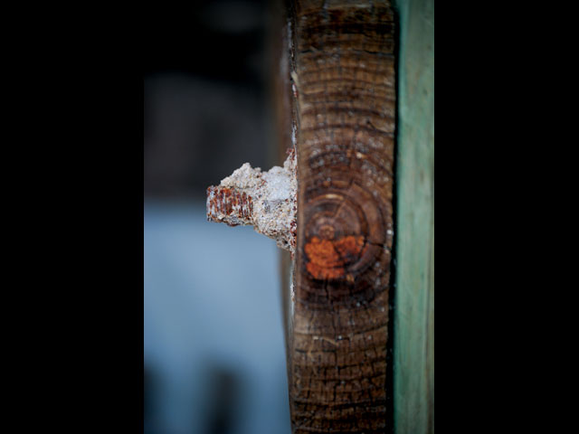 An upload by Joanne Slattery on Coroflot: to the project Photography