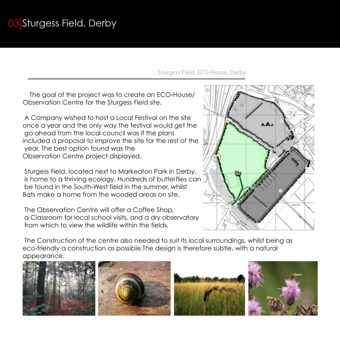 Sturgess Field by Richard Nethercott at Coroflot.com