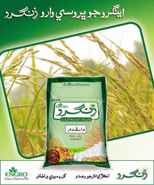 Engro Fertilizer Zingro by ADEEL REHMAN at Coroflot.com