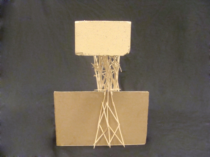 Toothpick Structures by Tracy Wu at Coroflot.com
