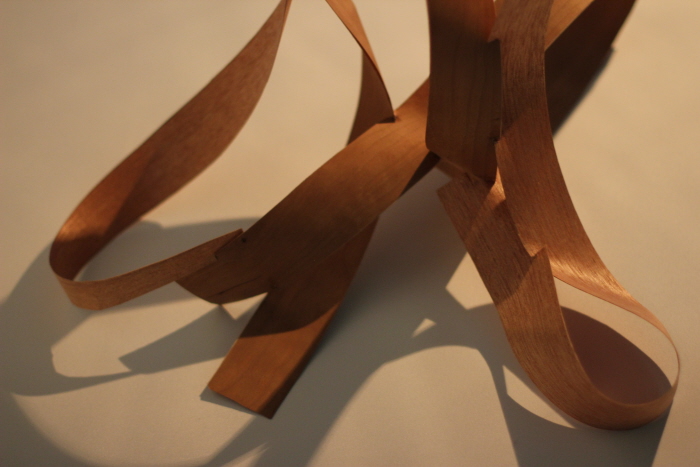 calligraphy sculpture by Elson Tan at Coroflot.com