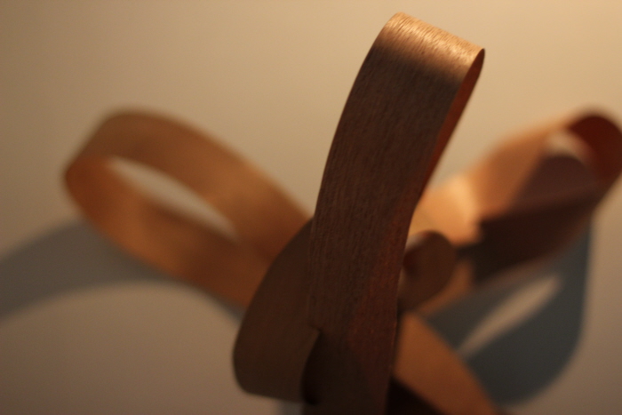 calligraphy sculpture by Elson Tan at Coroflot.com