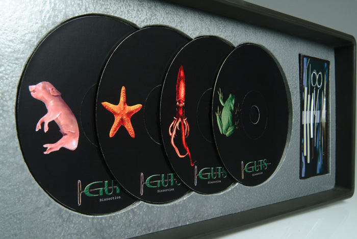 An upload by Stephanie Senechal on Coroflot: to the project Print