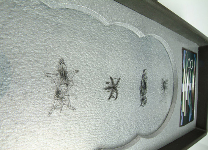 An upload by Stephanie Senechal on Coroflot: to the project Print