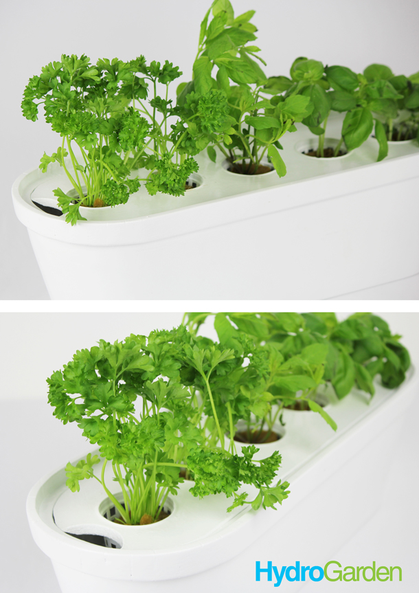 HydroGarden by Aaron Cameron at Coroflot.com