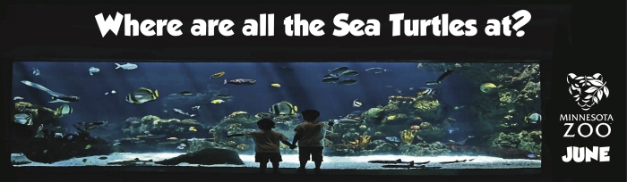 Minnesota Zoo Sea Turtles Exhibit by Jake Anderson at Coroflot.com