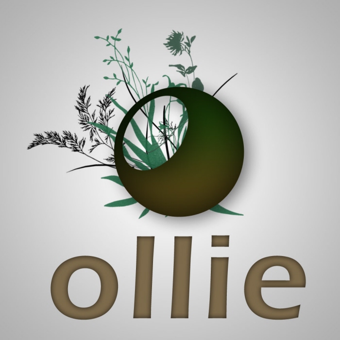 Logos by William Rodriguez at Coroflot.com