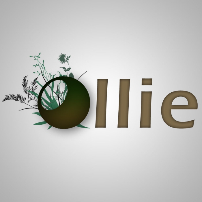 Logos by William Rodriguez at Coroflot.com