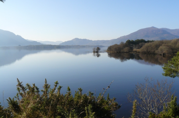 An upload by Mairenn Fi on Coroflot: to the project homage shoot