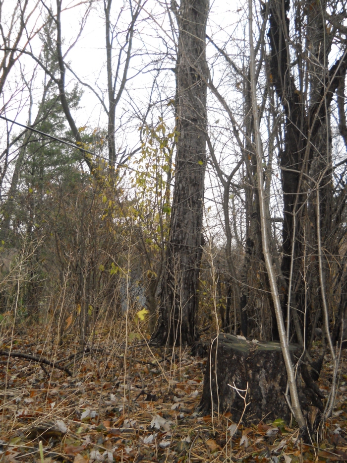 homage shoot by Mairenn Fi at Coroflot.com