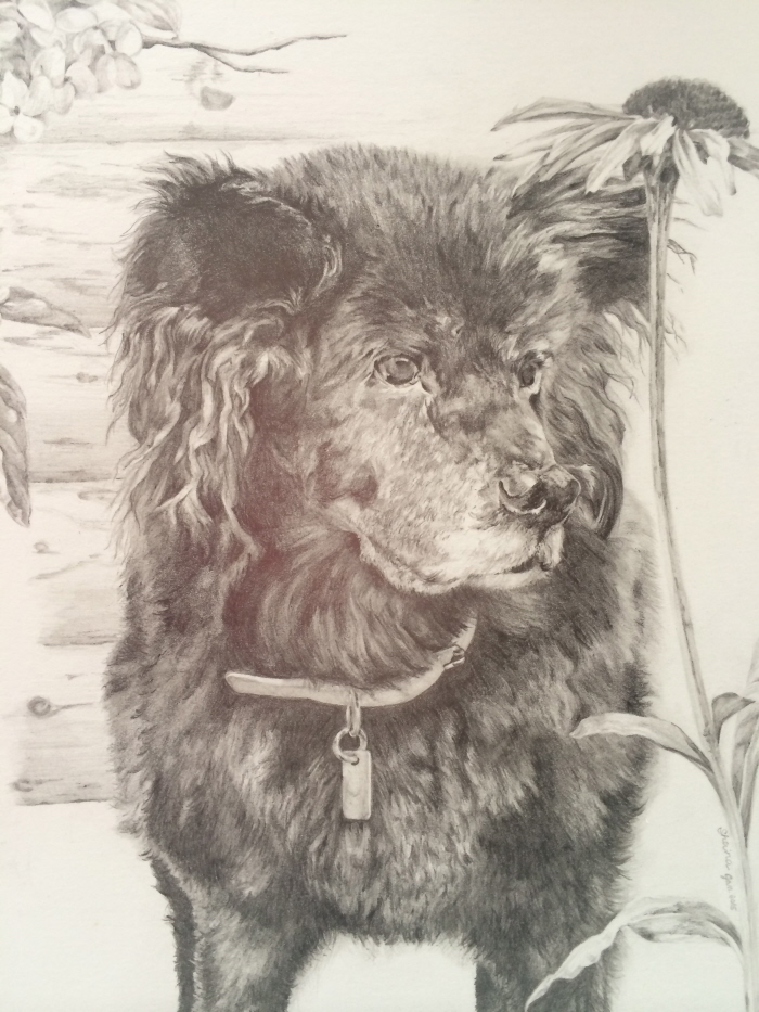 An upload by Shaina Thomas on Coroflot: to the project Georgie