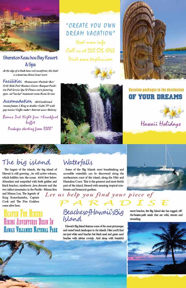 Brochures by Neeru Mokha at Coroflot.com