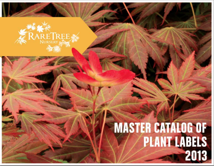 Real Client: Rare Tree Nursery - Catalog by PakYin Chan at Coroflot.com