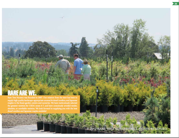 Real Client: Rare Tree Nursery - Catalog by PakYin Chan at Coroflot.com