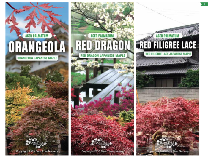 Real Client: Rare Tree Nursery - Catalog by PakYin Chan at Coroflot.com