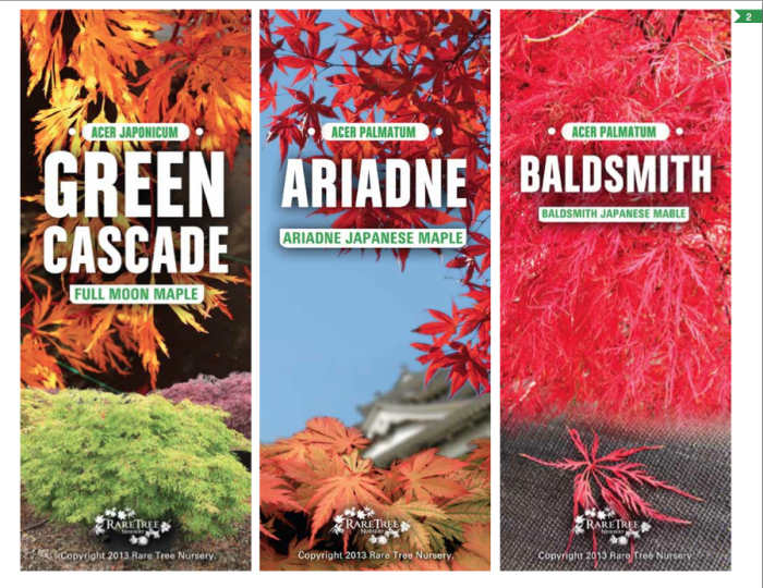 Real Client: Rare Tree Nursery - Catalog by PakYin Chan at Coroflot.com