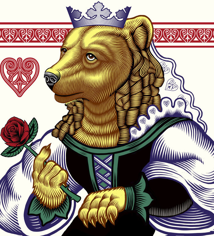 Queen Bear Playing Cards Illustration by Matt Curtis at Coroflot.com