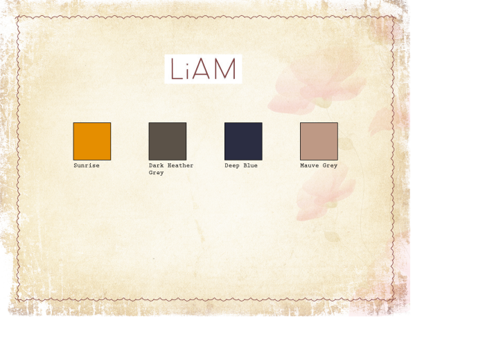 LiAM by Gabriela Pazmino at Coroflot.com