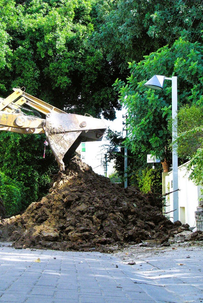 Concrete & Canopy • Urban versus Nature Photography by Hila Martuzana ...