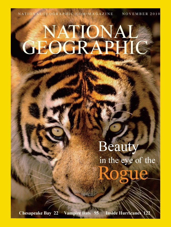 An upload by Derron Johnson on Coroflot: to the project Art Institute Work