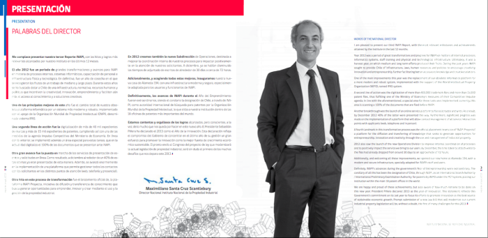 Inapi - Gobierno de Chile by RALD Publicidad & Tecnología at Coroflot.com