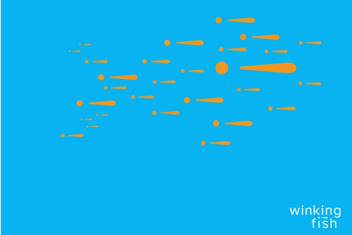 Winking Fish Redesign by Andrew Adams at Coroflot.com