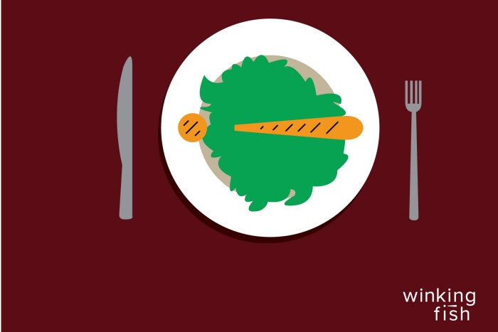 Winking Fish Redesign by Andrew Adams at Coroflot.com